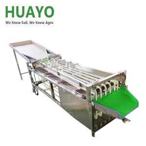 Garlic Bulb Grader - Best Garlic Machine