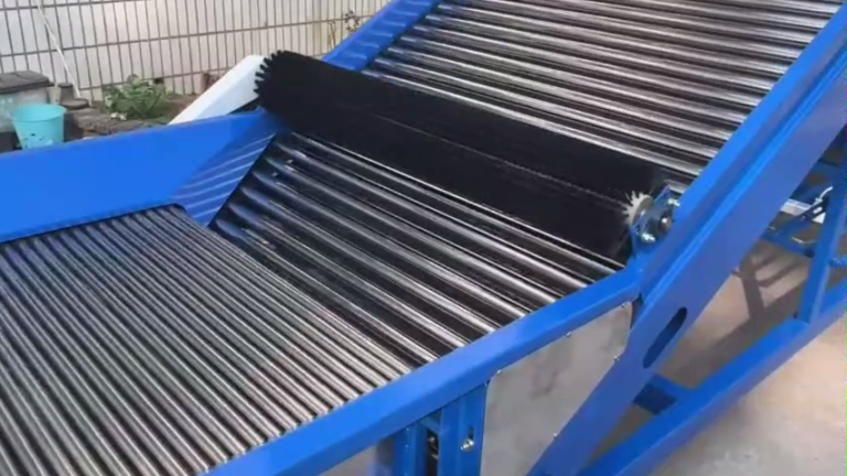 HGB-8 Garlic Bulb Sorting Machine - Best Garlic Machine