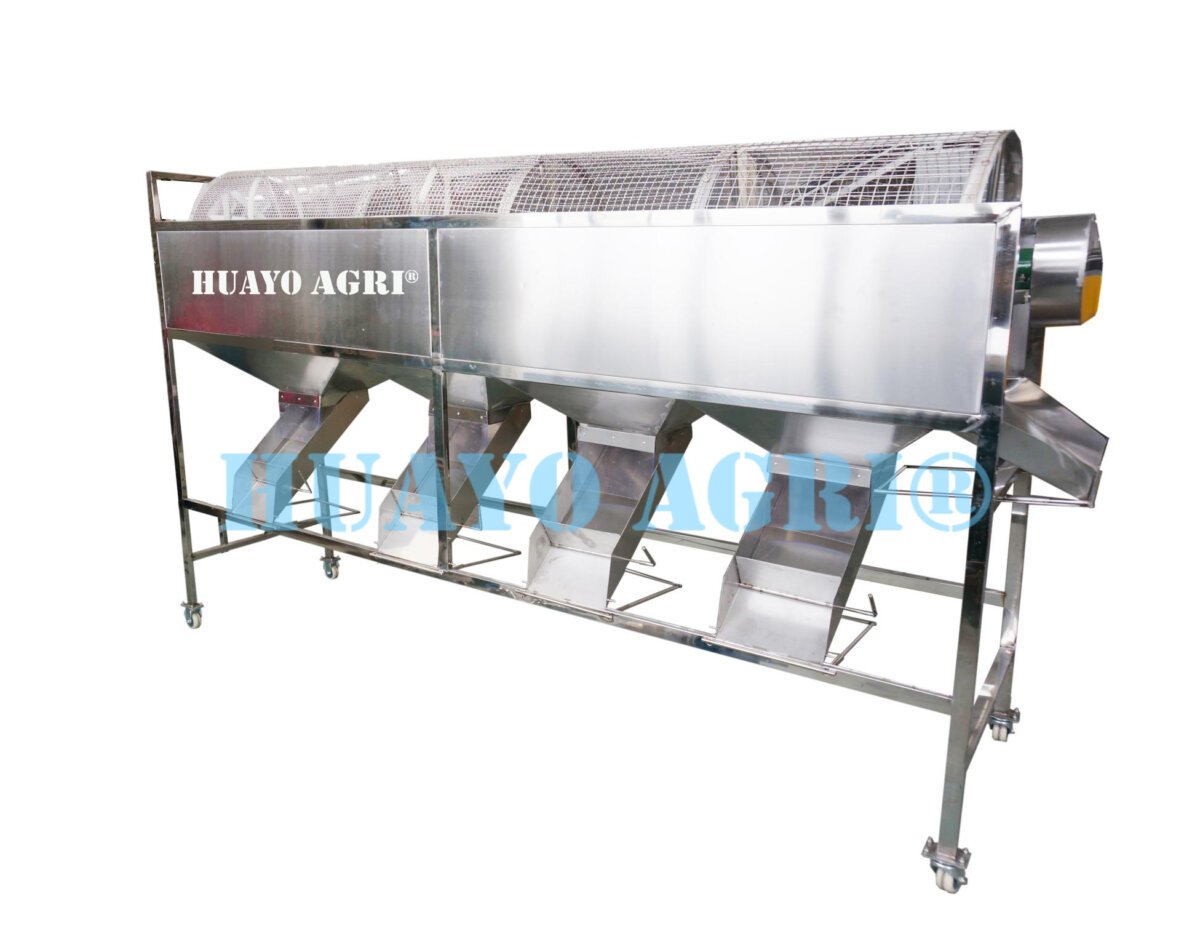 HGBS-3S SUS Garlic Seed Splitter and Grader - Best Garlic Machine