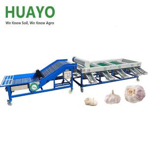 HGB-8 Garlic Bulb Sorting Machine - Best Garlic Machine