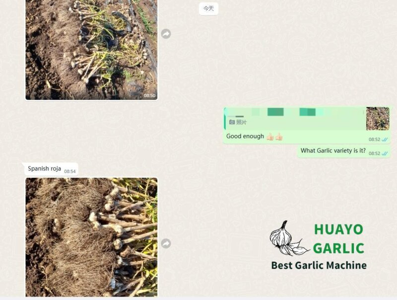 Garlic Harvester Machine - Best Garlic Machine