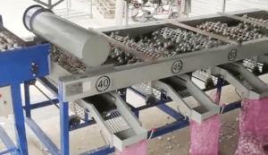 HGB-8 Garlic Bulb Sorting Machine - Best Garlic Machine