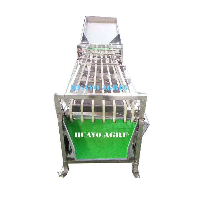 Garlic Bulb Grader - Best Garlic Machine