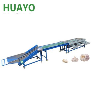 HGB-8 Garlic Bulb Sorting Machine - Best Garlic Machine