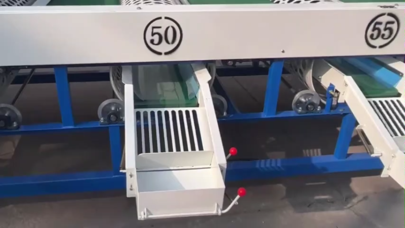 HGB-8 Garlic Bulb Sorting Machine - Best Garlic Machine