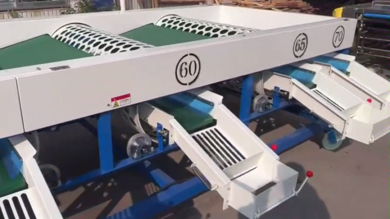 HGB-8 Garlic Bulb Sorting Machine - Best Garlic Machine