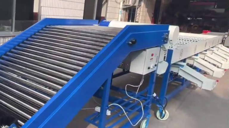 HGB-8 Garlic Bulb Sorting Machine - Best Garlic Machine