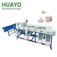 HGB-8 Garlic Bulb Sorting Machine - Best Garlic Machine
