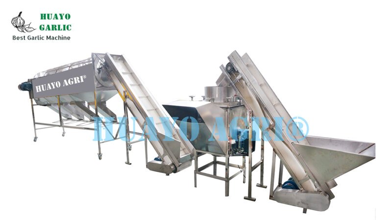 HGBS-3S SUS Garlic Seed Splitter and Grader - Best Garlic Machine