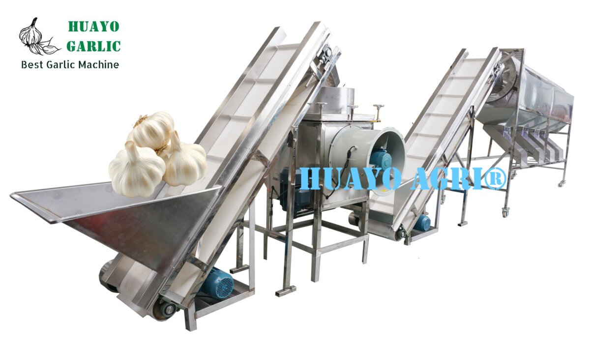 HGBS-3S SUS Garlic Seed Splitter and Grader - Best Garlic Machine