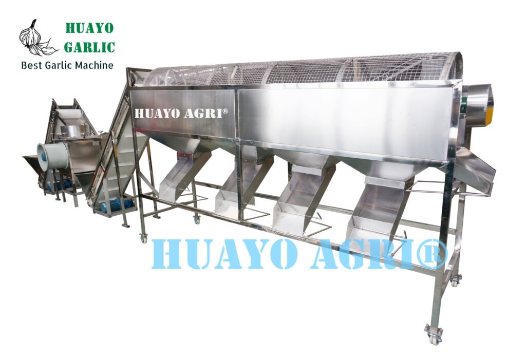 HGBS-3S SUS Garlic Seed Splitter and Grader - Best Garlic Machine