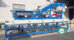 HGB-8 Garlic Bulb Sorting Machine - Best Garlic Machine