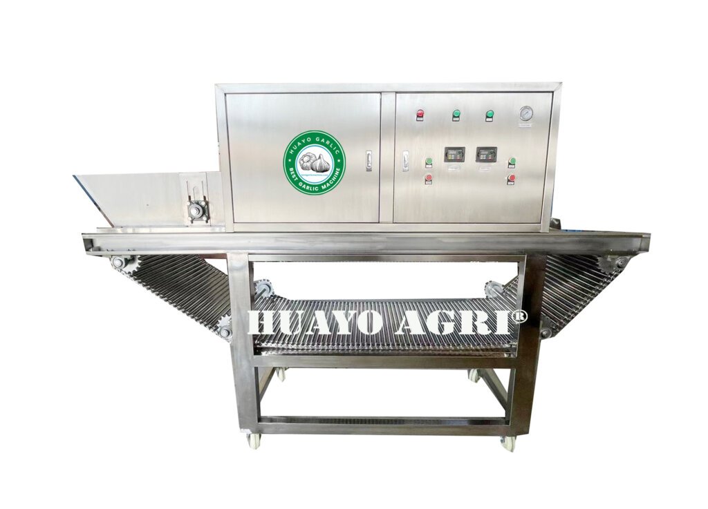 HGP-300 Automatic Garlic Peeling Line - Best Garlic Machine